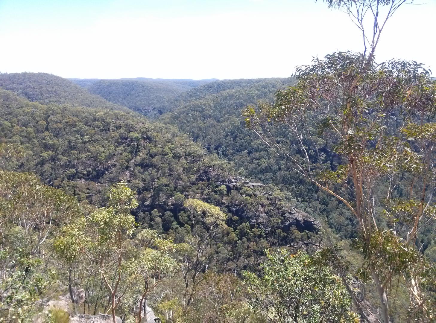 Blaxland to Springwood | Blue Mountains National Park | BeyondTracks
