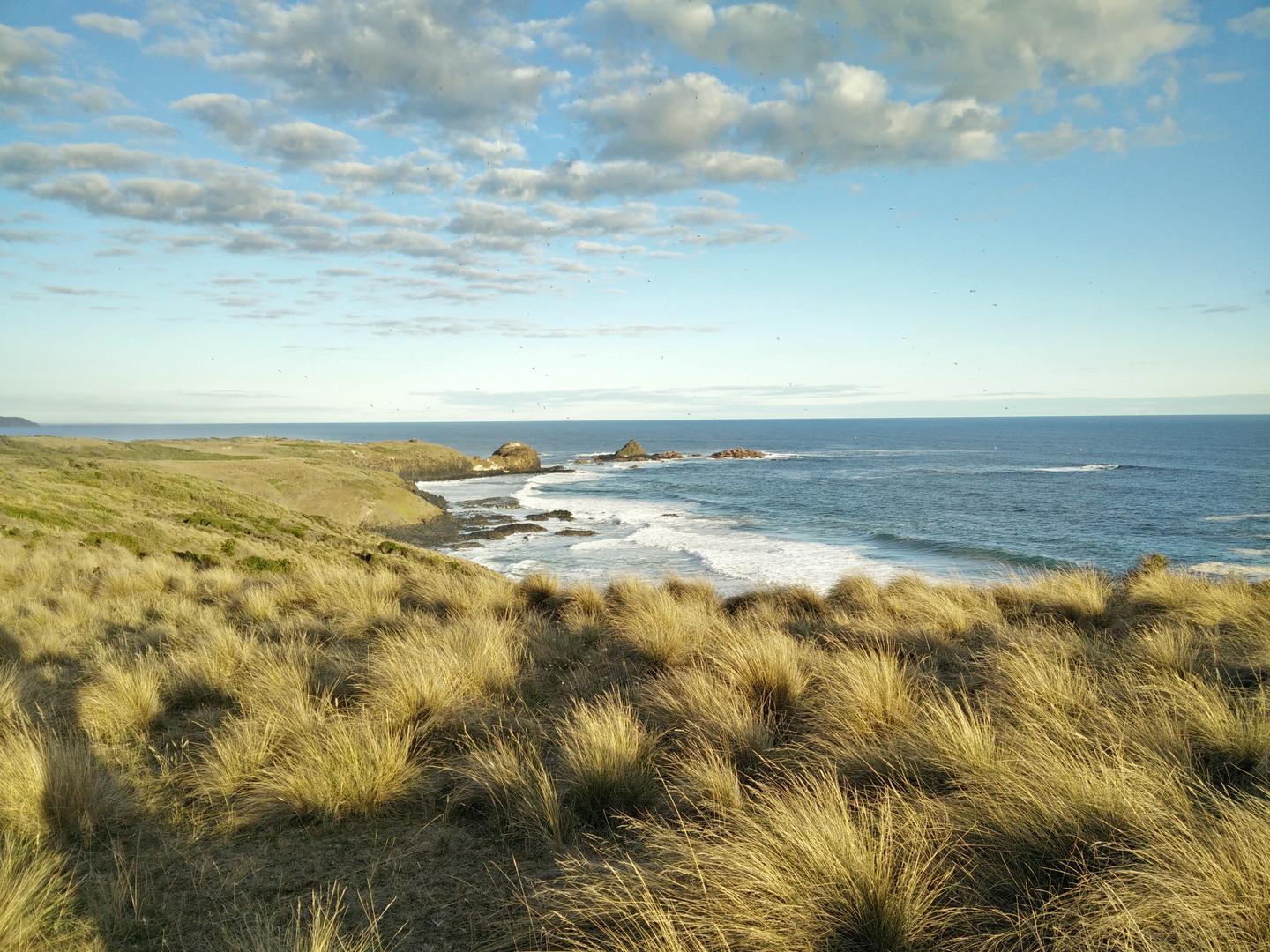 Pyramid Rock | Phillip Island Nature Park | BeyondTracks