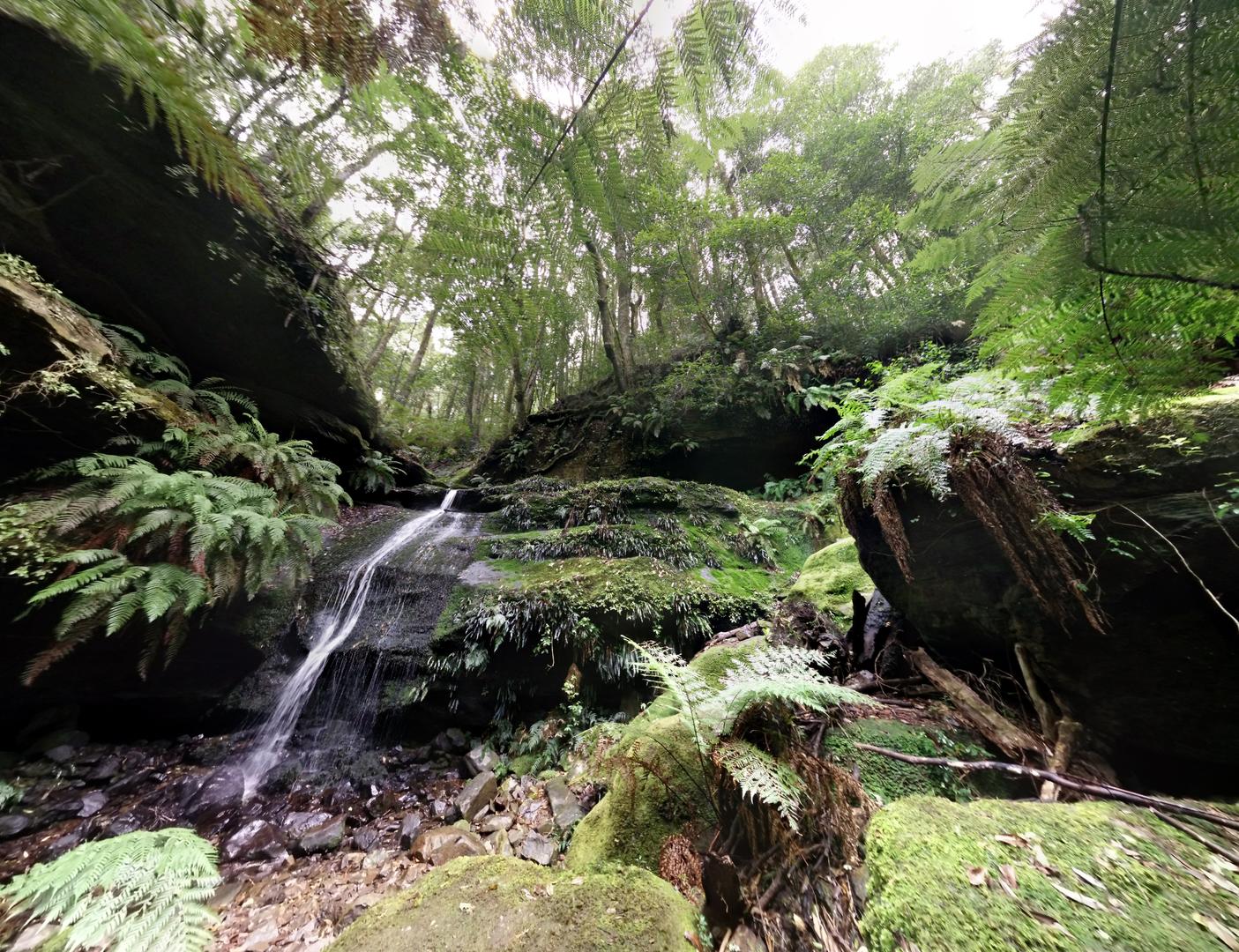 Mount Wilson Waterfall Track | Blue Mountains National Park | BeyondTracks