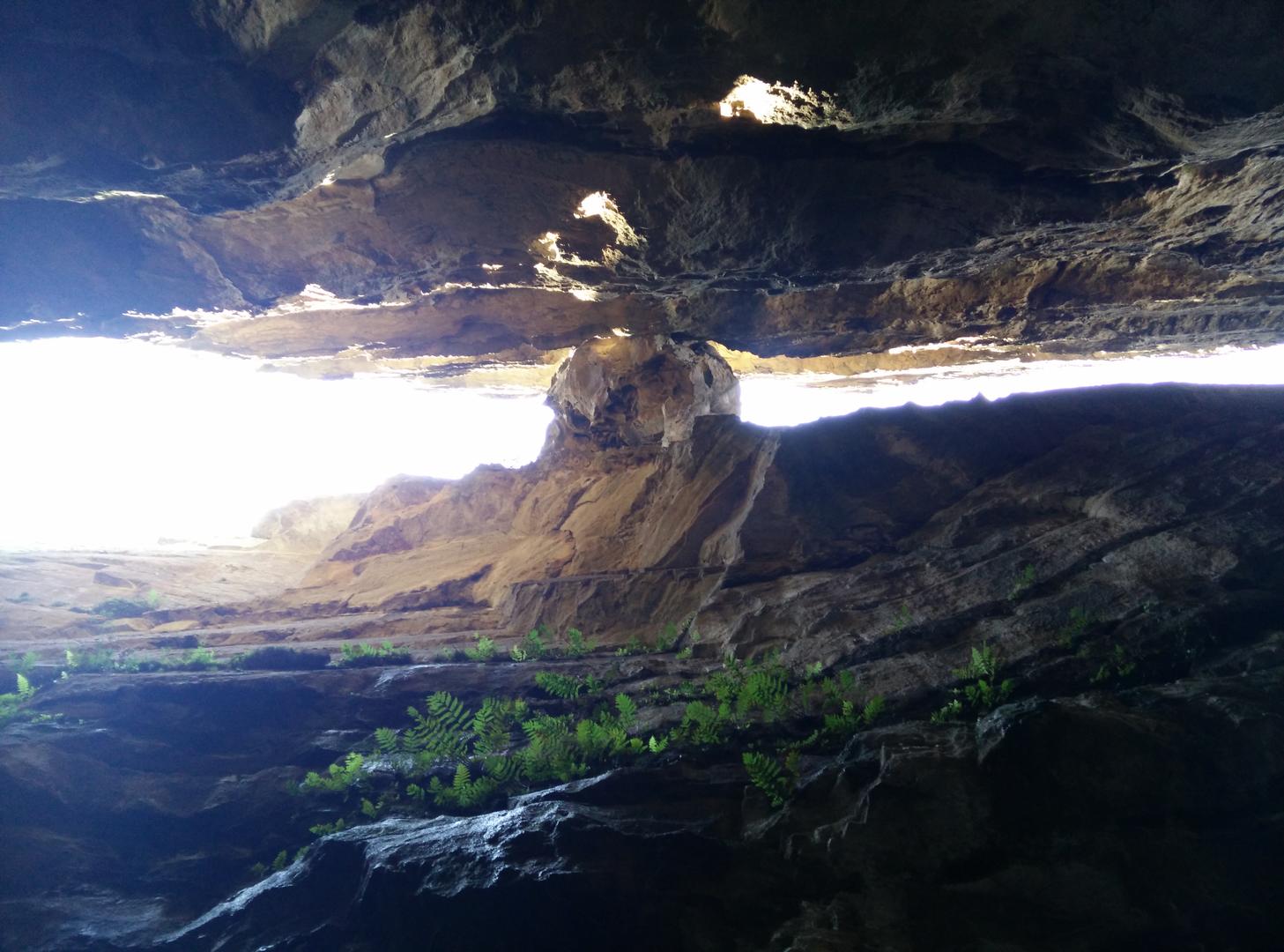 Devils Hole Loop | Blue Mountains National Park | BeyondTracks