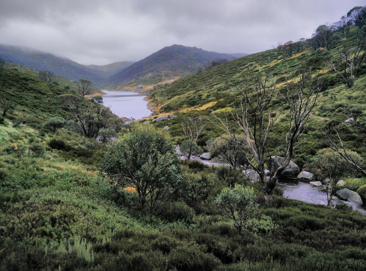 Illawong Walk | Kosciuszko National Park | BeyondTracks