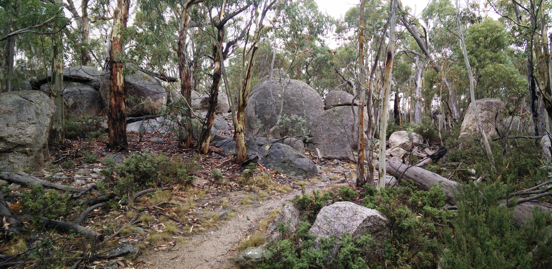 Sawpit Waterfall Track | Kosciuszko National Park | BeyondTracks