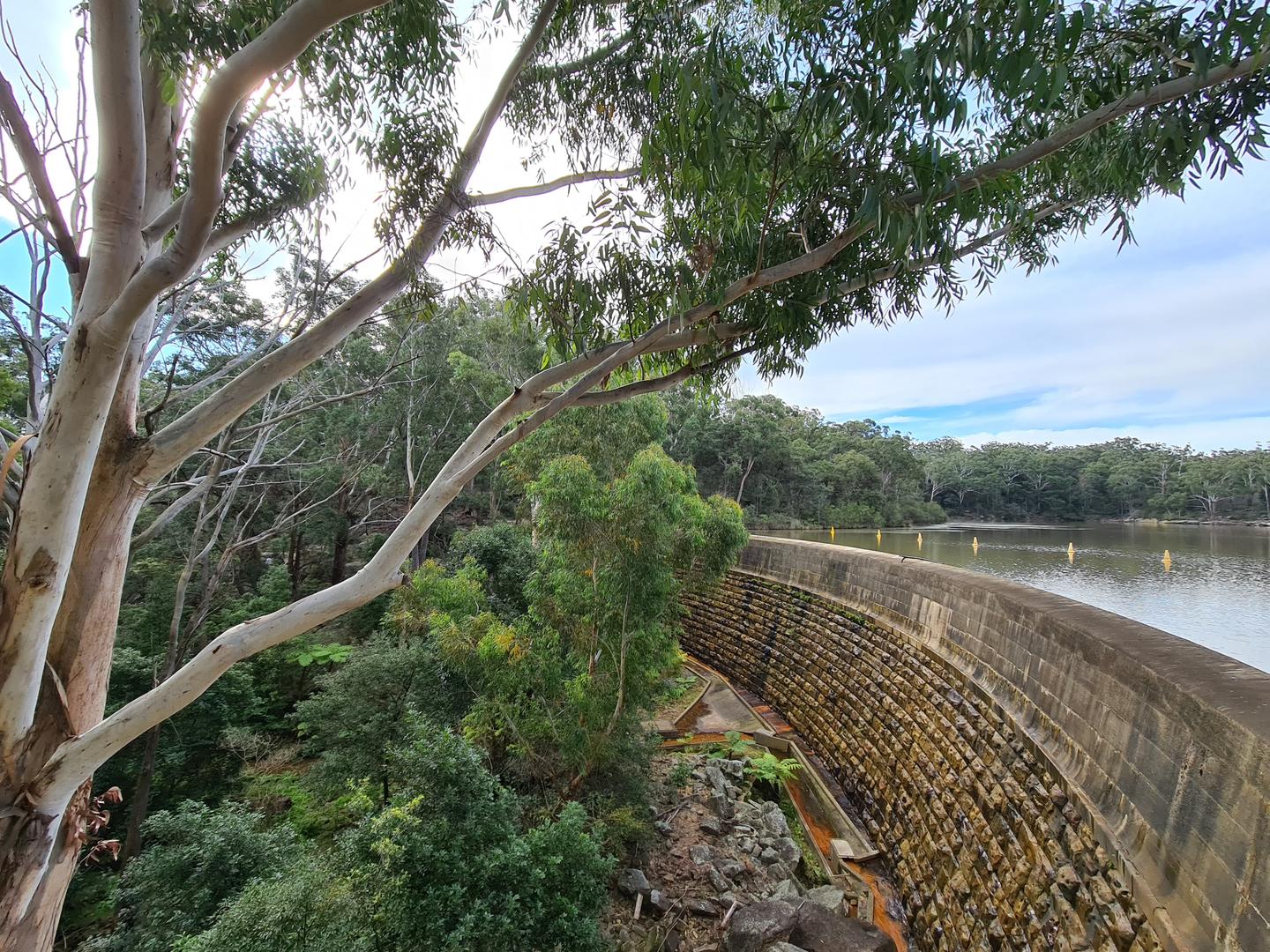 Lake Parramatta Circuit Track | Lake Parramatta Reserve | BeyondTracks