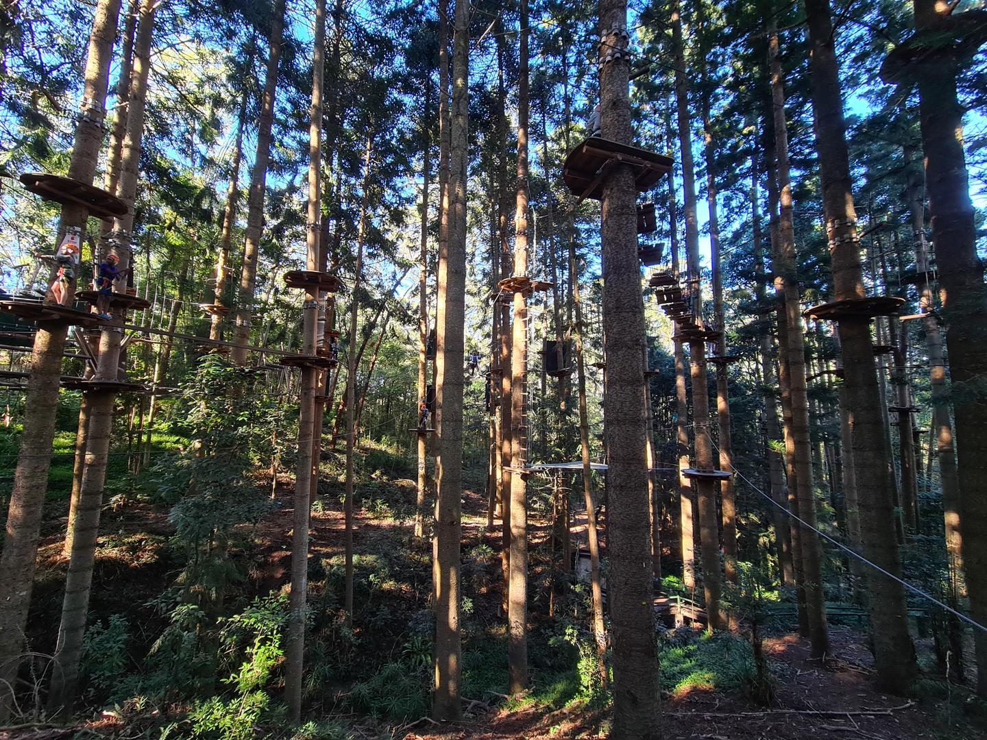 Forestry Trail | Cumberland State Forest | BeyondTracks