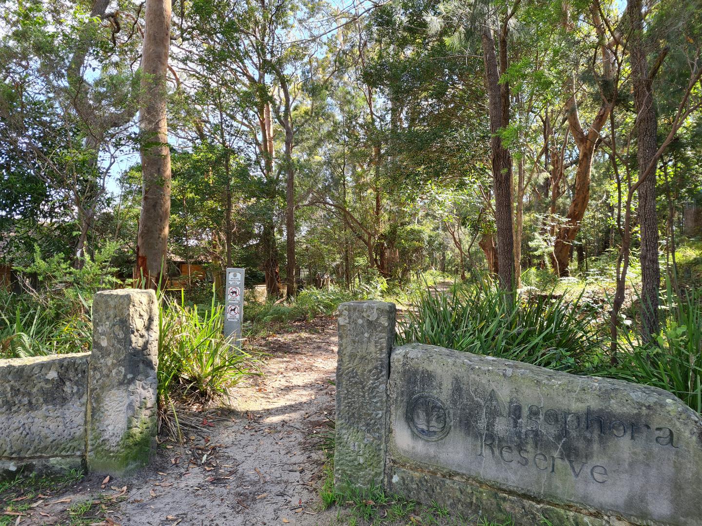 Angophora Reserve | | BeyondTracks
