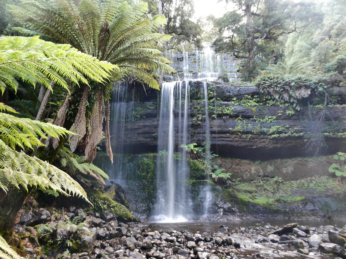Russell Falls Loop | Mount Field National Park | BeyondTracks
